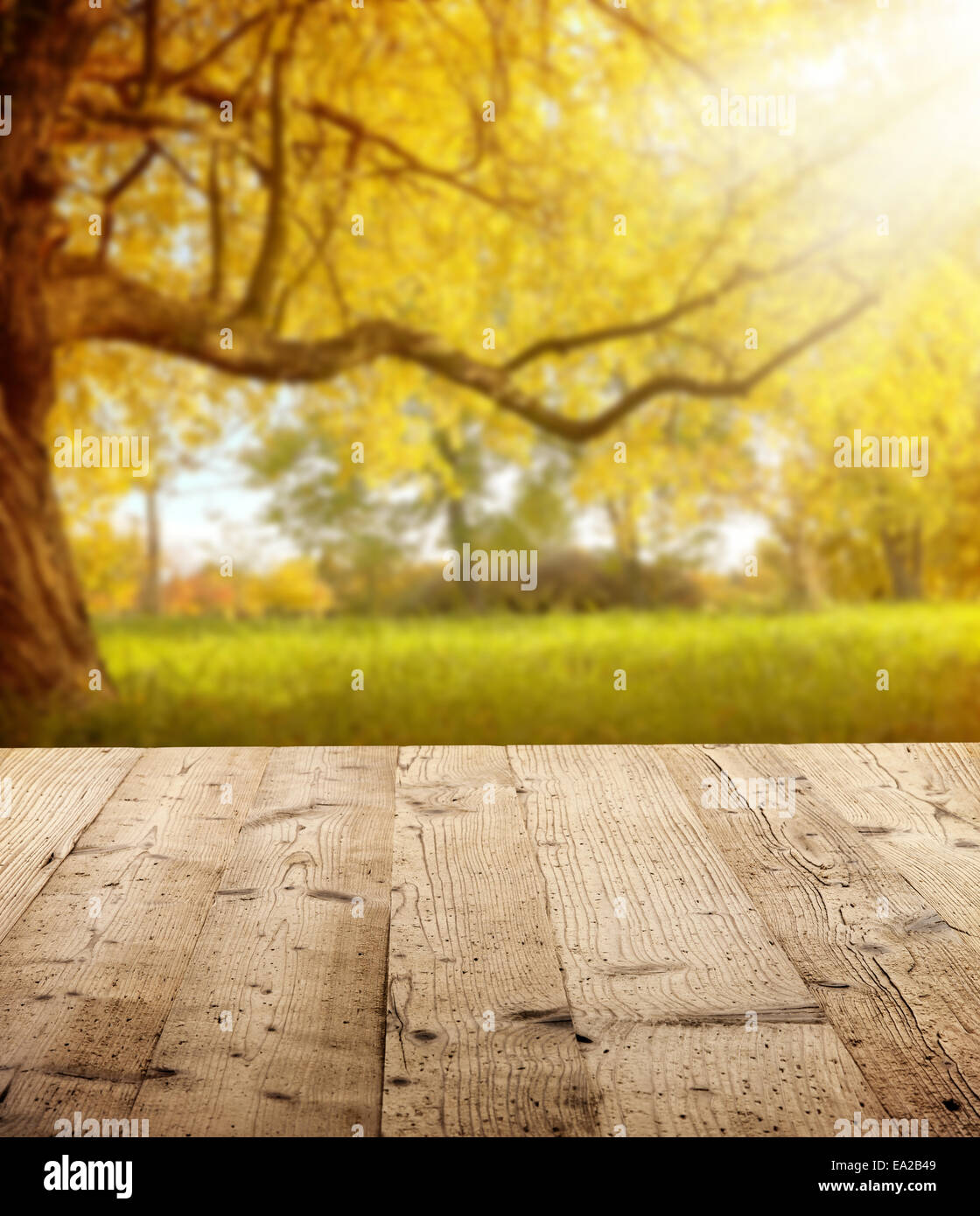 Moody autumn background with wooden planks Stock Photo - Alamy