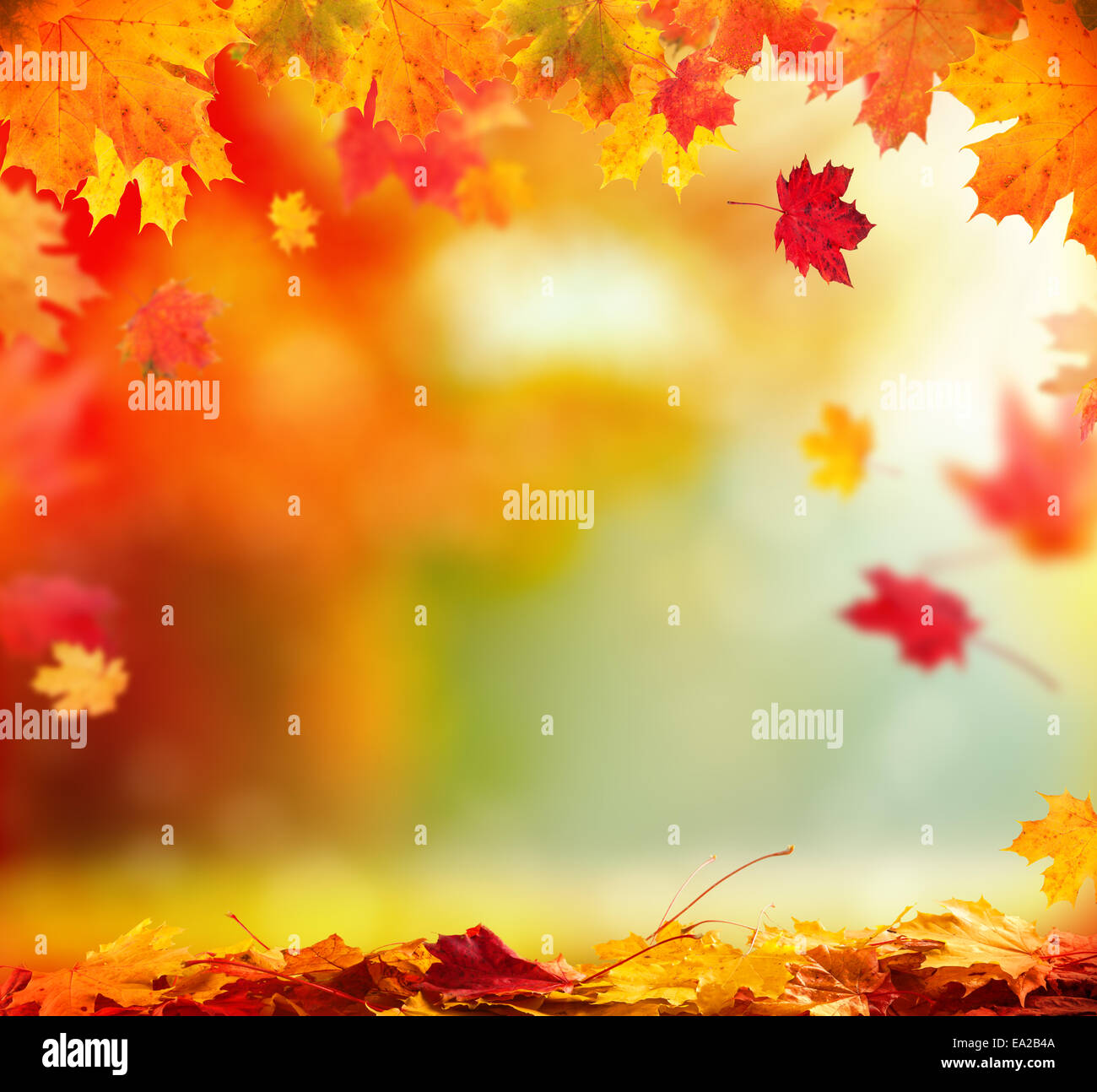 Moody autumn background with falling leaves on wooden planks Stock ...