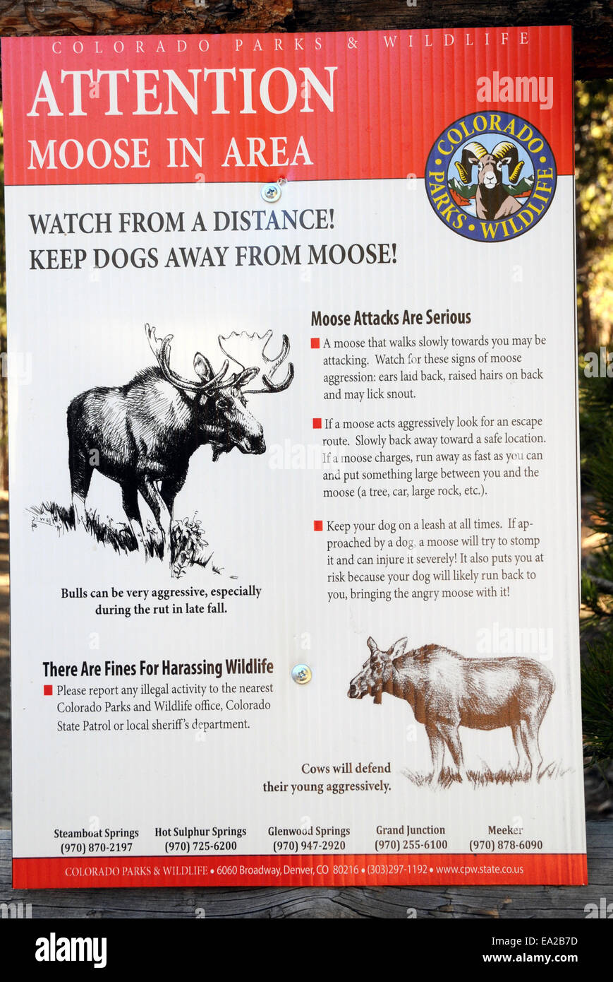 Colorado Parks and Wildlife's poster warning hikers to beware of moose ...