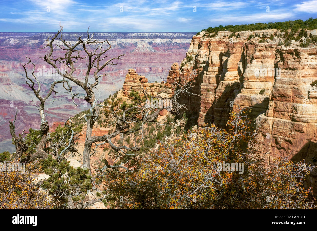 View of the Grand Canyon from the South rim with fall colors in the ...