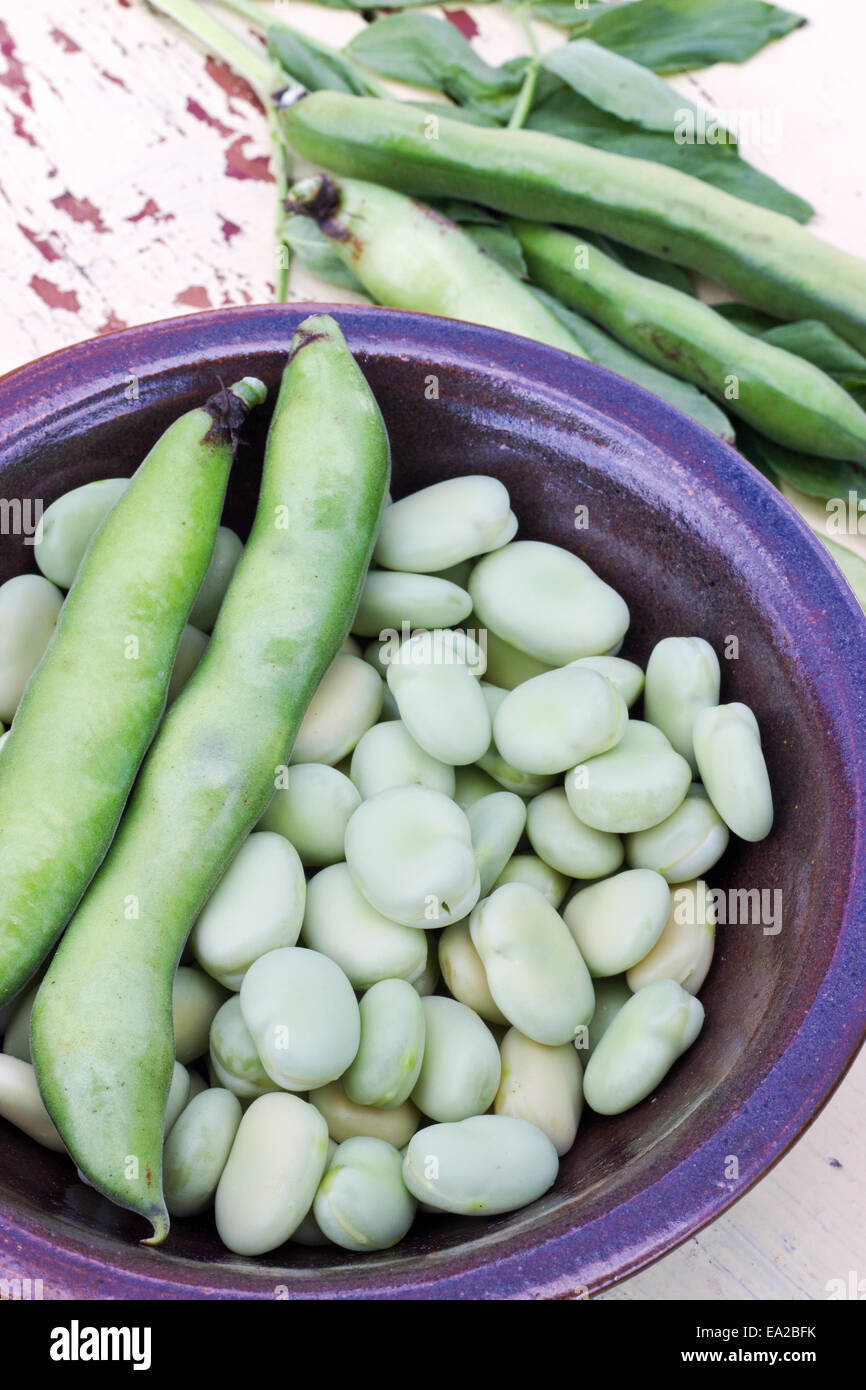 White broad beans hi-res stock photography and images - Alamy