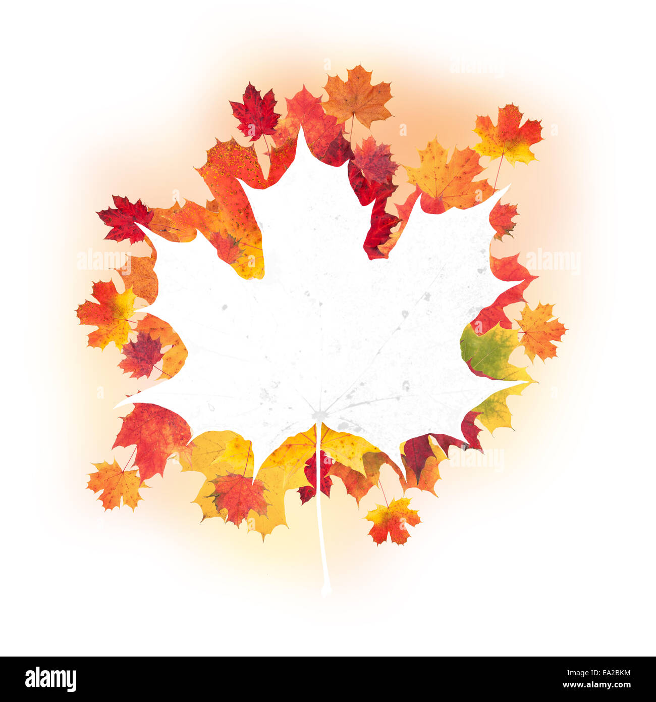 Colored autumn leaves with big maple leaves shape inside, isolated on ...