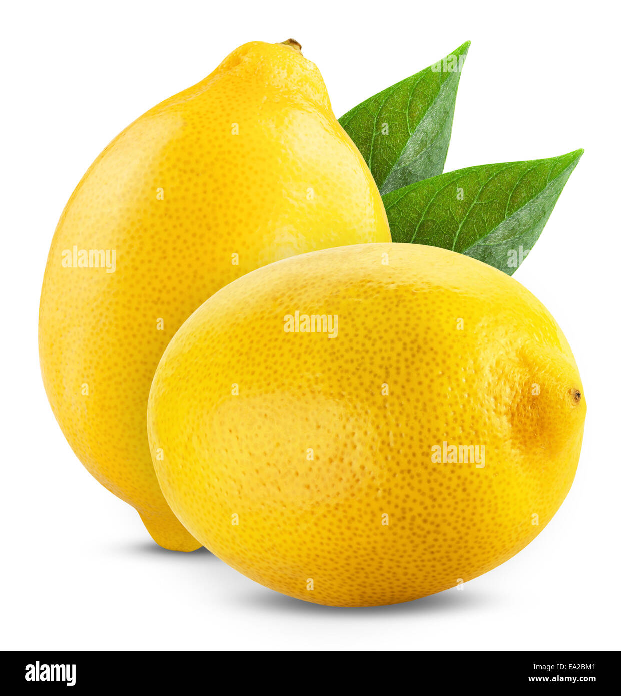 Fresh lemon on white background. Clipping Path Stock Photo - Alamy