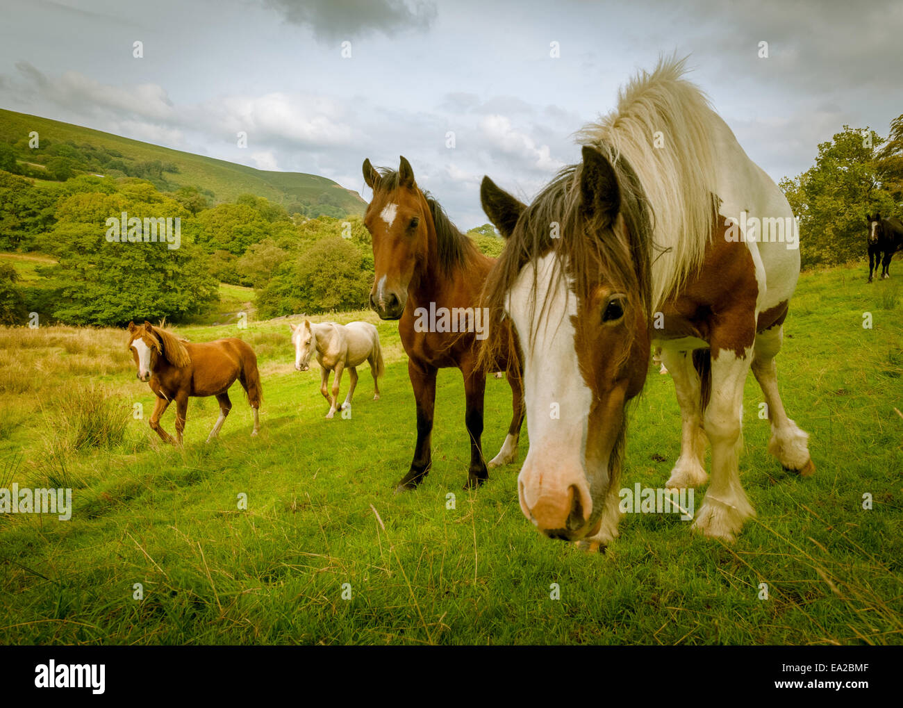 Cardiff valley hi-res stock photography and images - Alamy