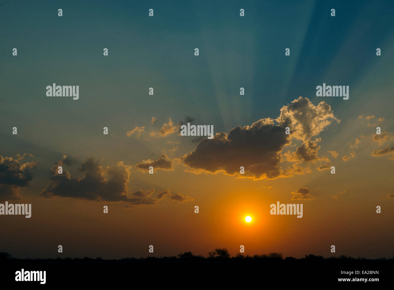 Namibian evening sun hi-res stock photography and images - Alamy