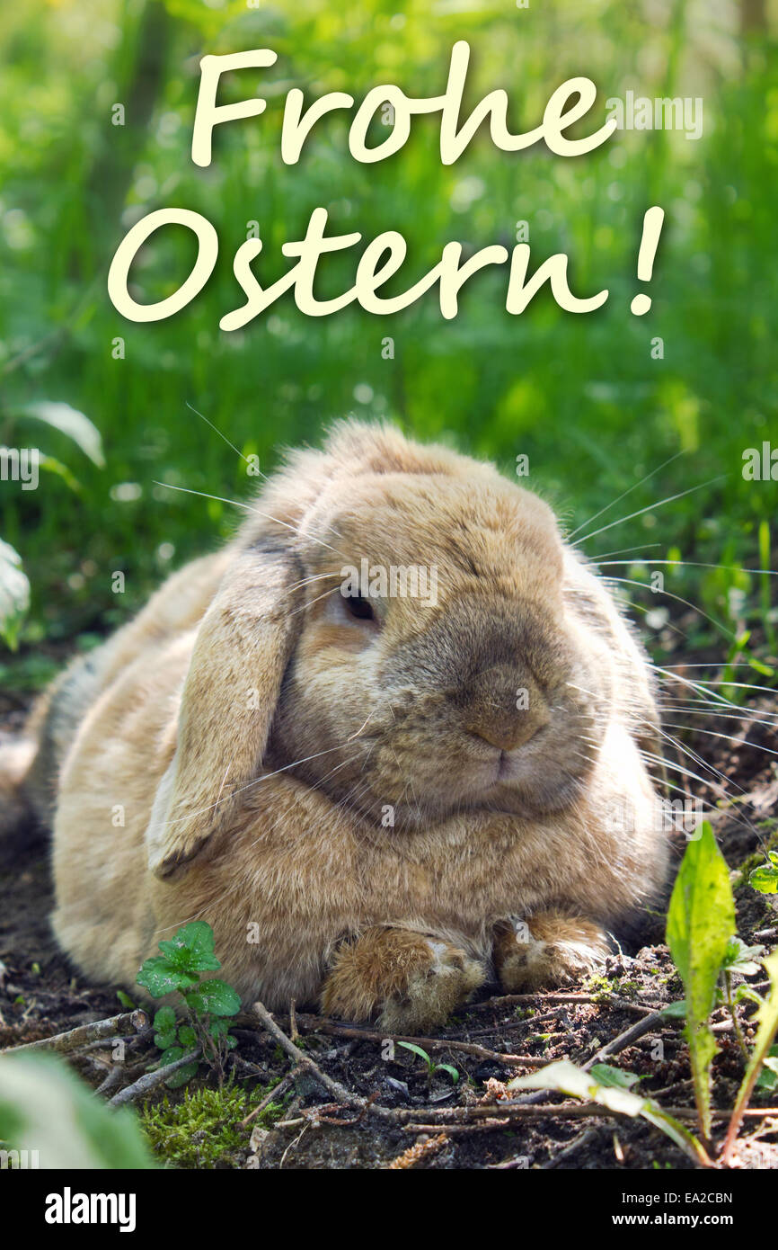 Easter card with rabbits and German text: Happy Easter Stock Photo - Alamy