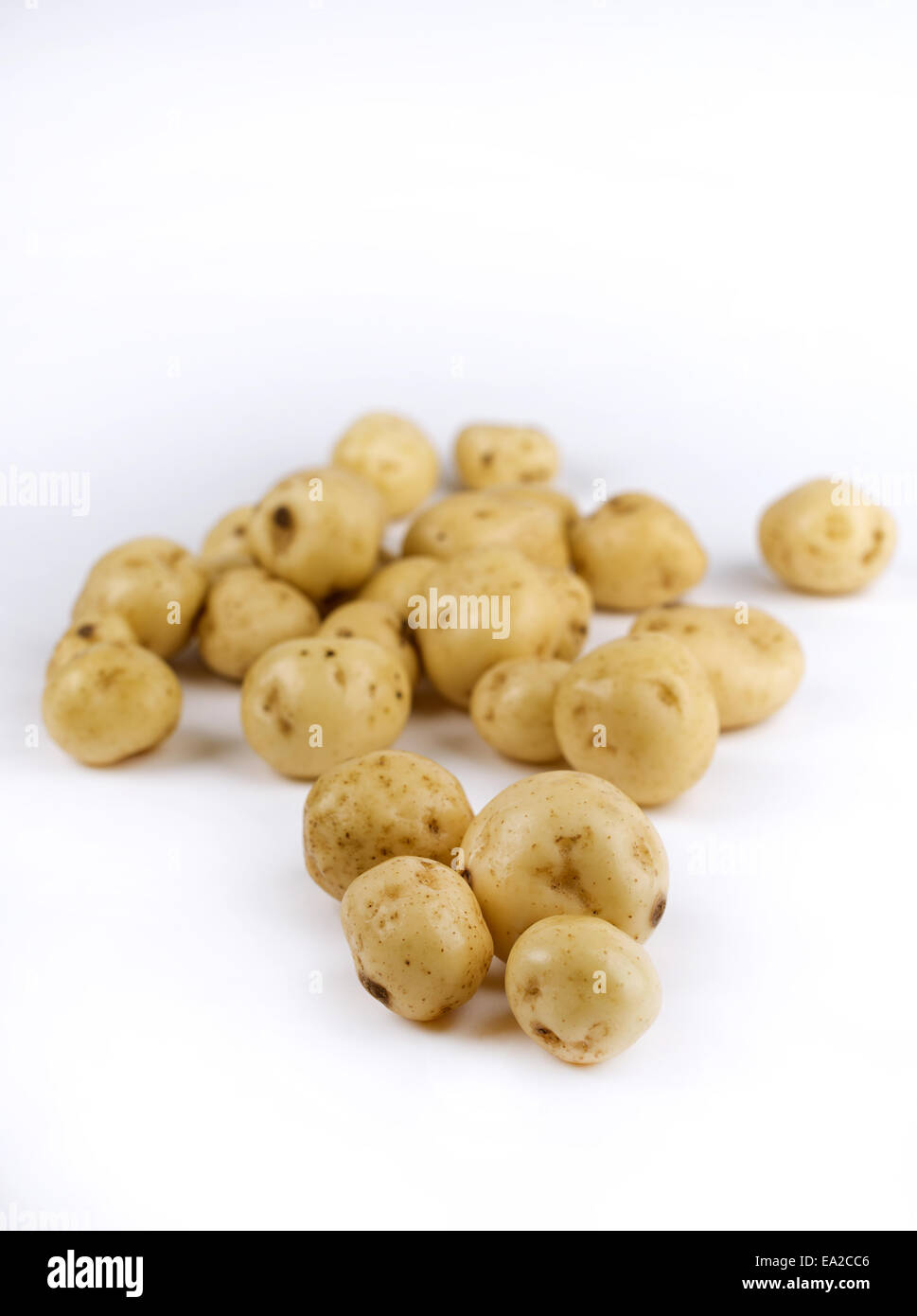 Loose new potatoes on white background Stock Photo - Alamy