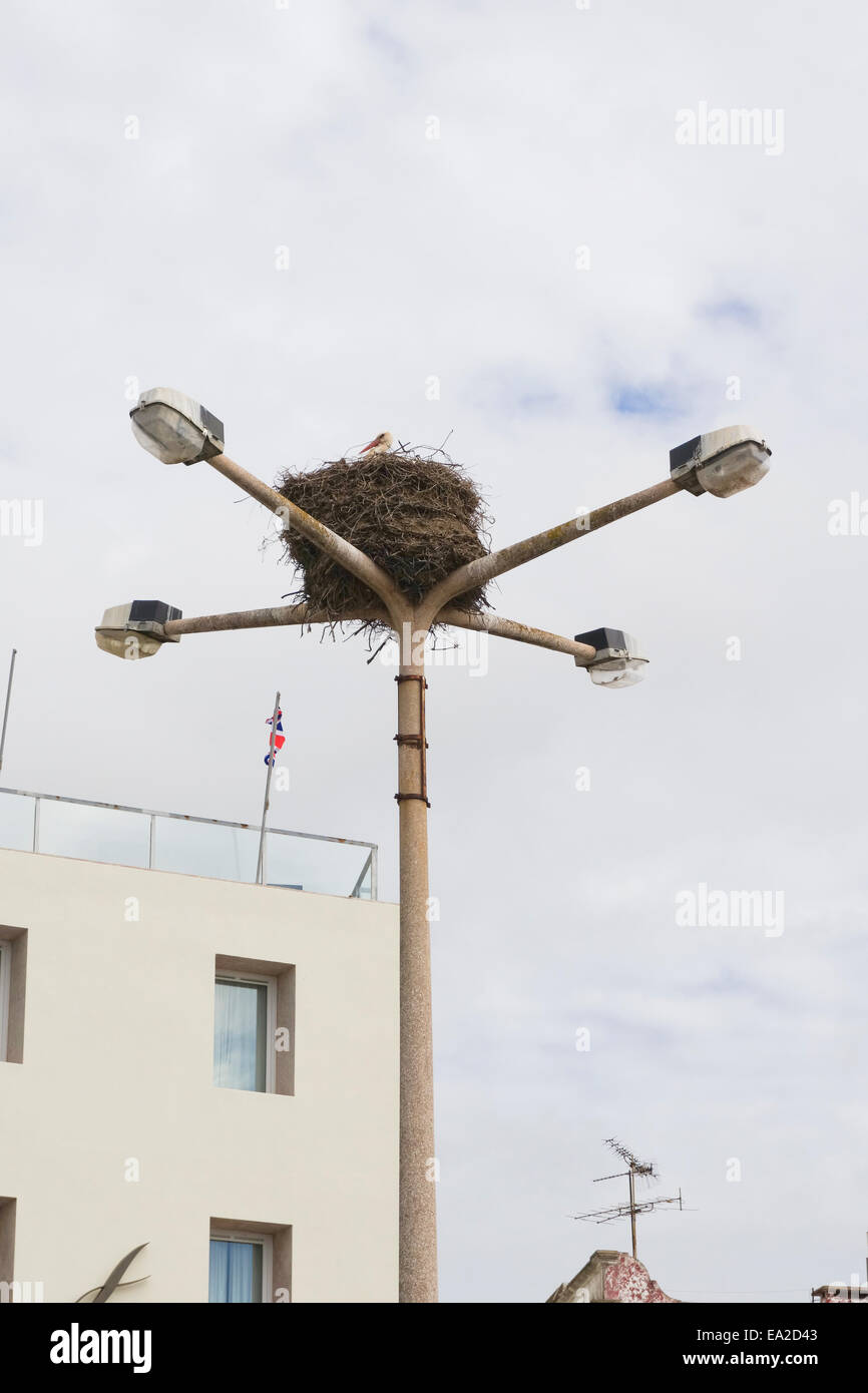 Street lights with nest of stork in centre of Faro, Algarve, Portugal ...