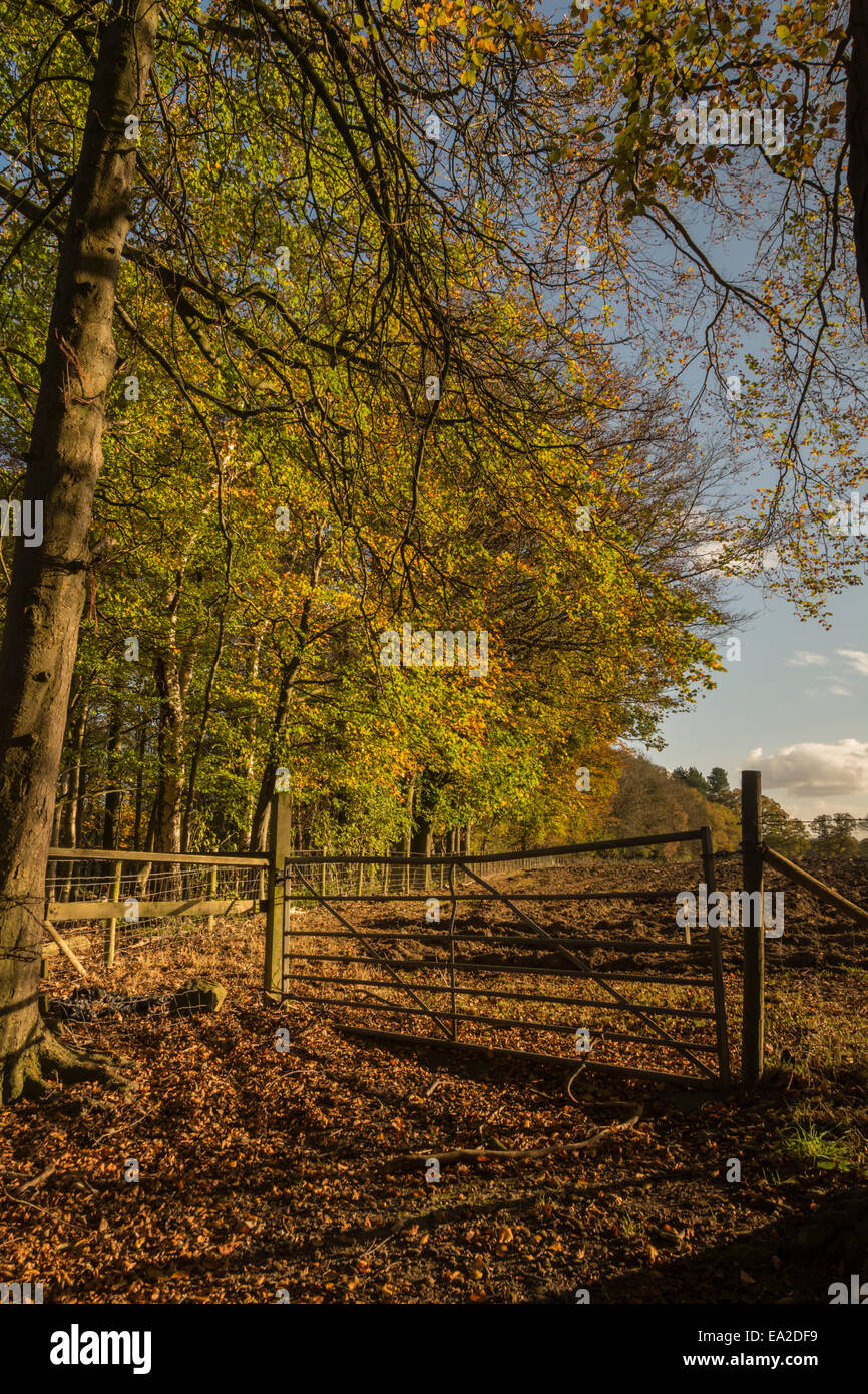 Golden gate nature reserve hi-res stock photography and images - Alamy