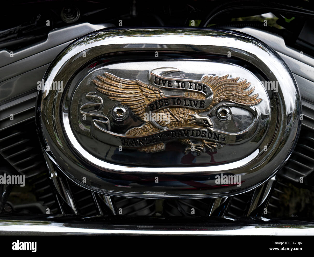 Silver motorbike badge hi-res stock photography and images - Alamy