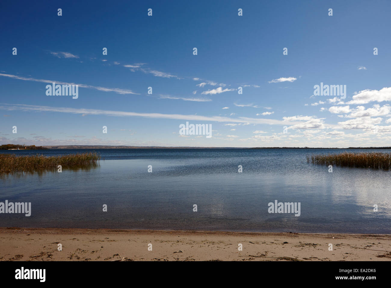 beach at redberry lake Saskatchewan Canada Stock Photo - Alamy