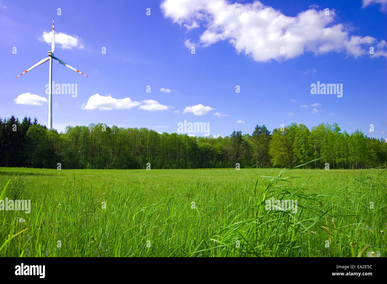 Forest and windmill conceptual image. Picture windmill and green forest ...