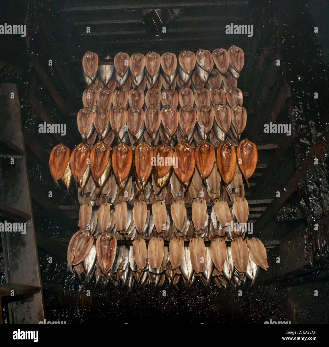 Kippers hi-res stock photography and images - Alamy