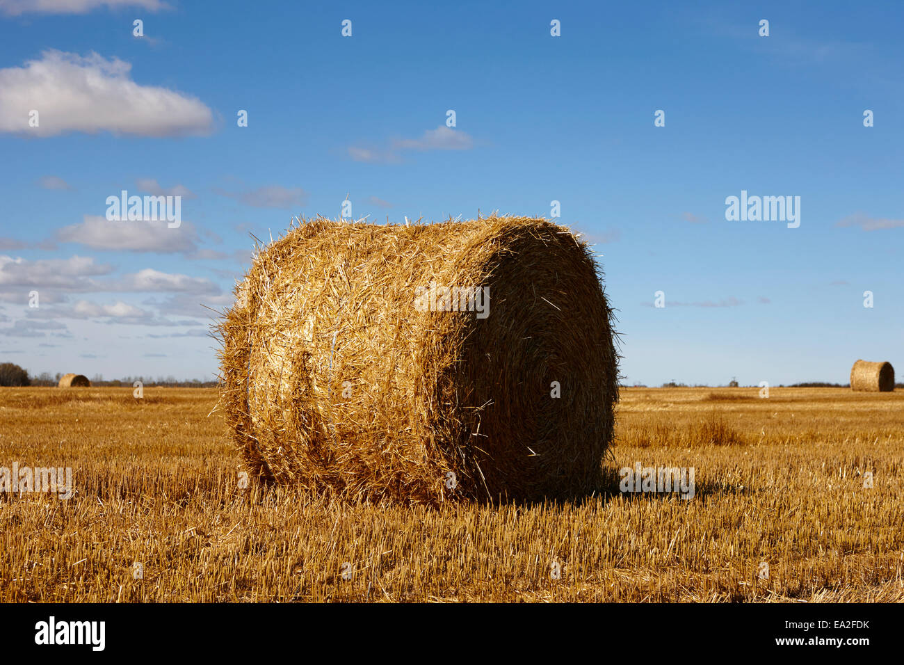 Saskatchewan farm hi-res stock photography and images - Alamy