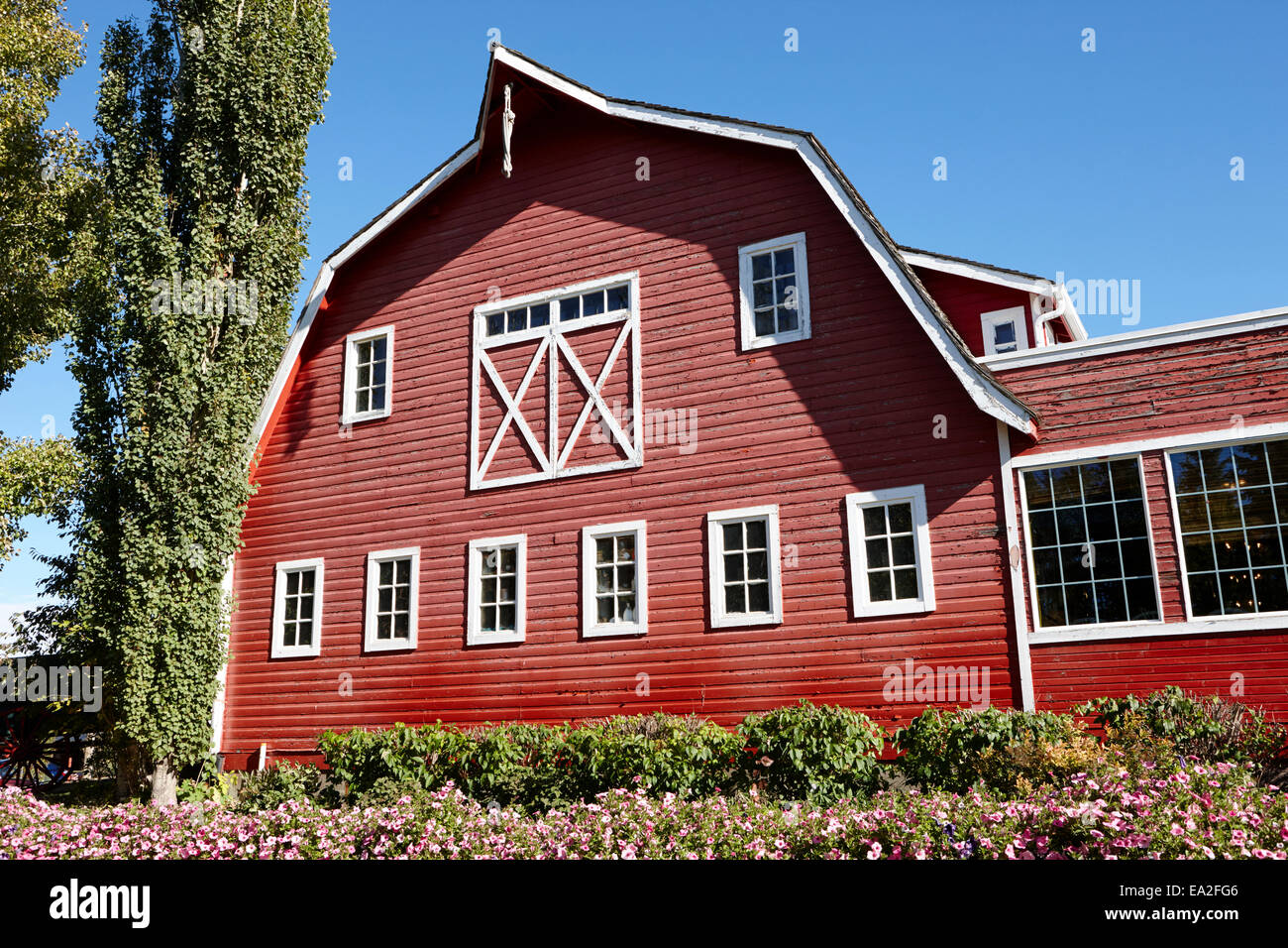 Berry canada hi-res stock photography and images - Alamy