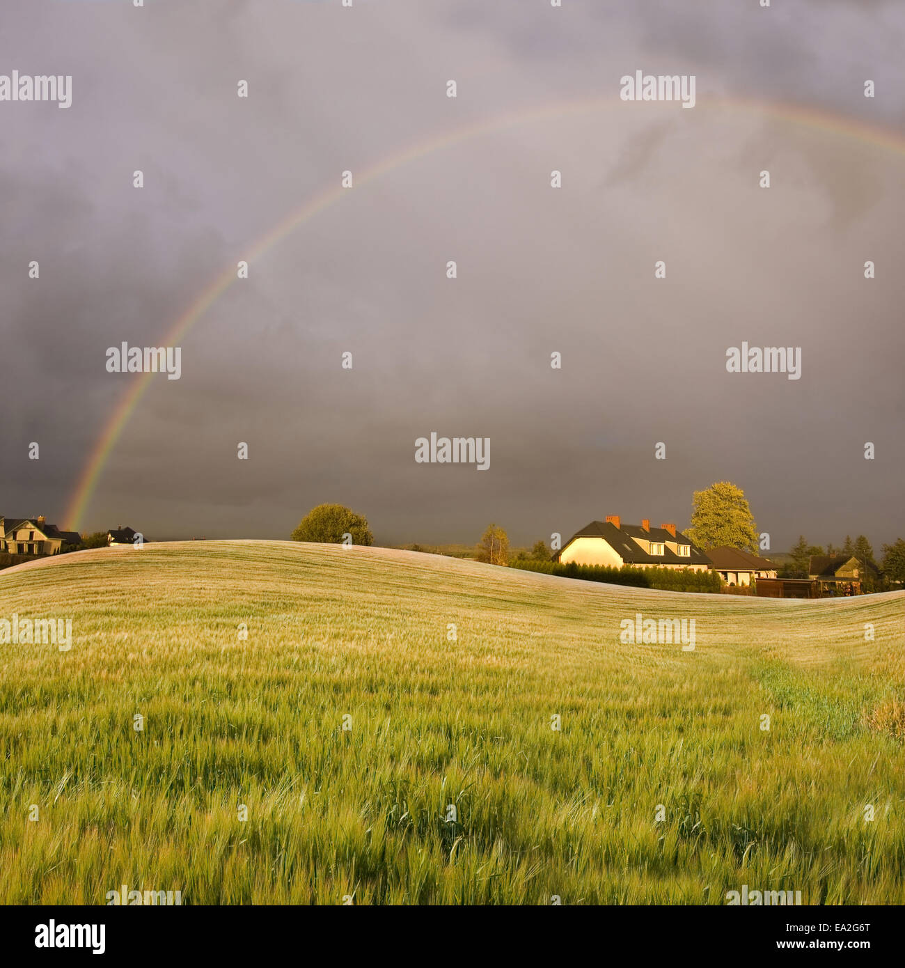 Rainbow over garden hi-res stock photography and images - Alamy