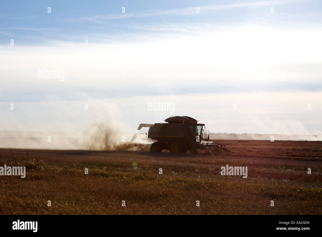 Canadian prairie farm harvesting hi-res stock photography and images ...