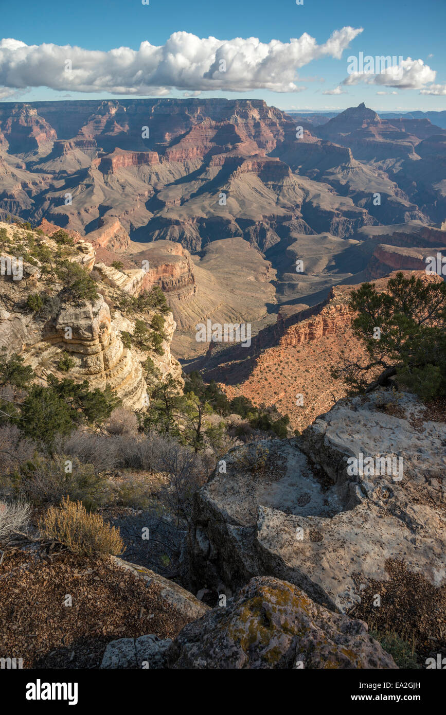 The Grand Canyon, in northern Arizona, as seen from Shoshone Point. The ...