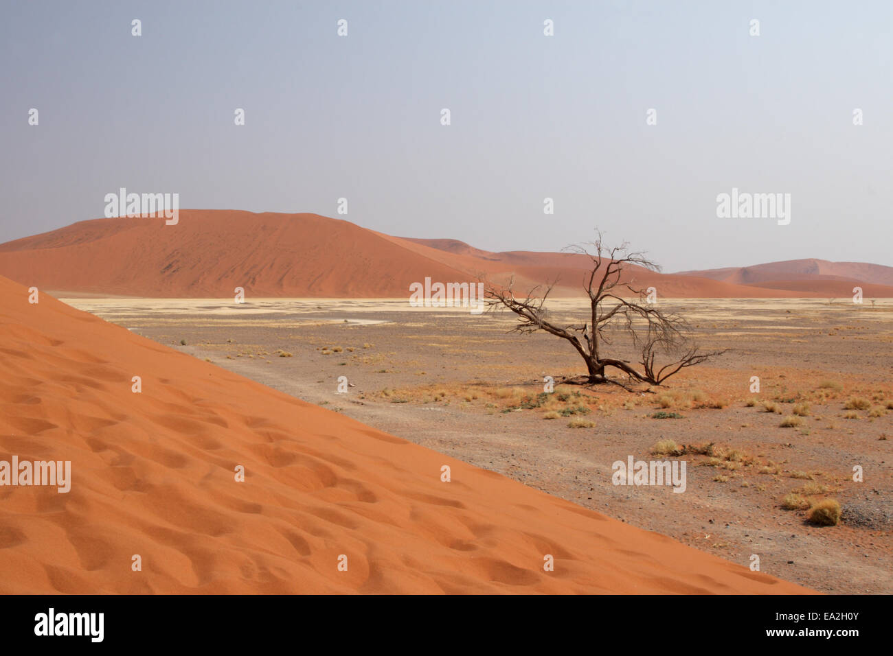 Dunes in the Namib desert, shot taken from atop dune 45 in Sossusvlei ...
