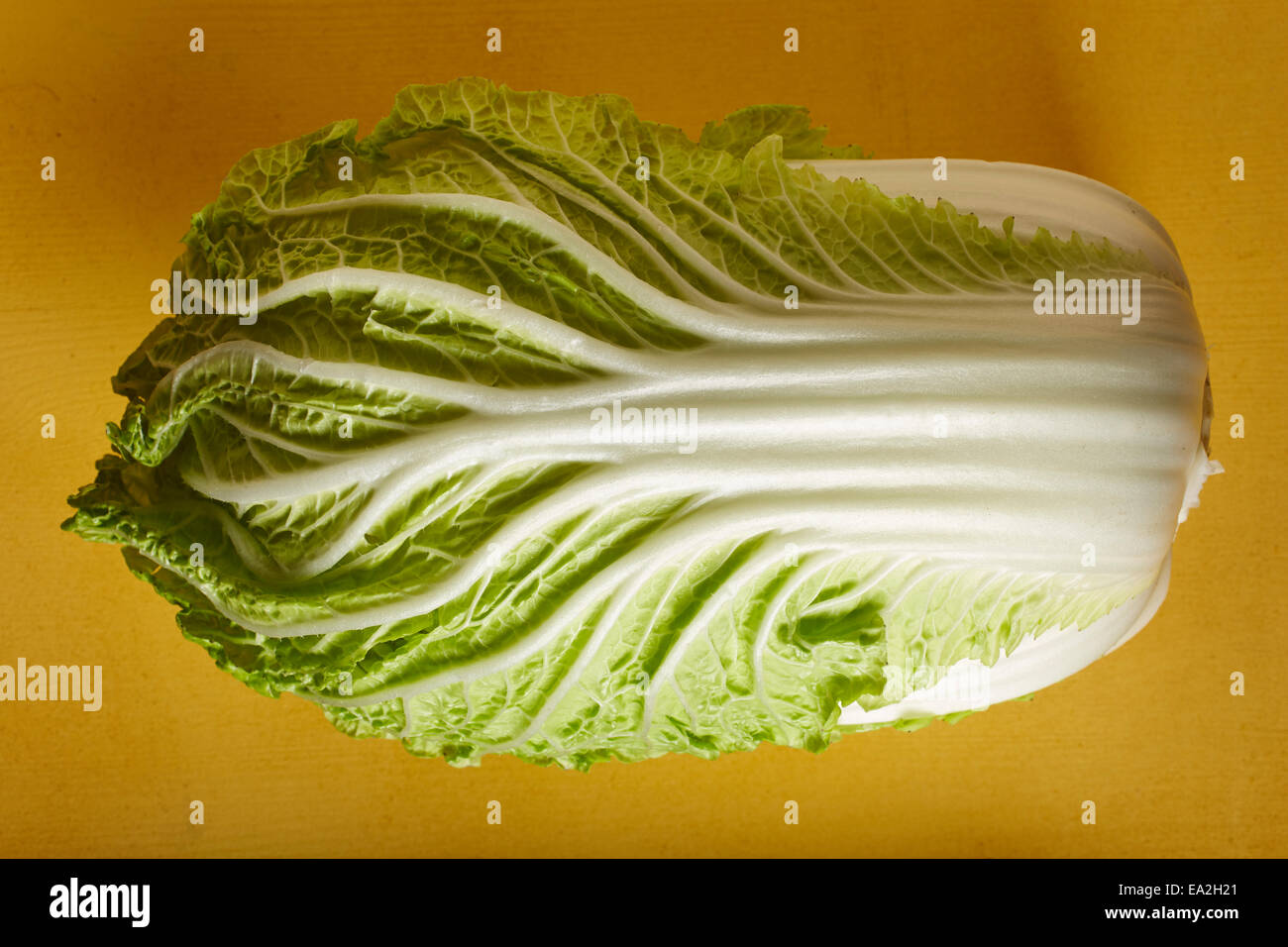 Head of Napa Cabbage Stock Photo - Alamy
