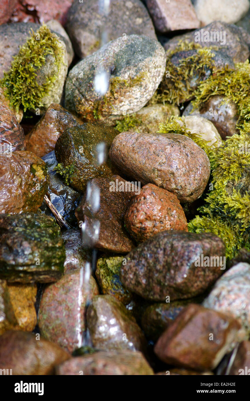Moss overgrown field stones Stock Photo - Alamy