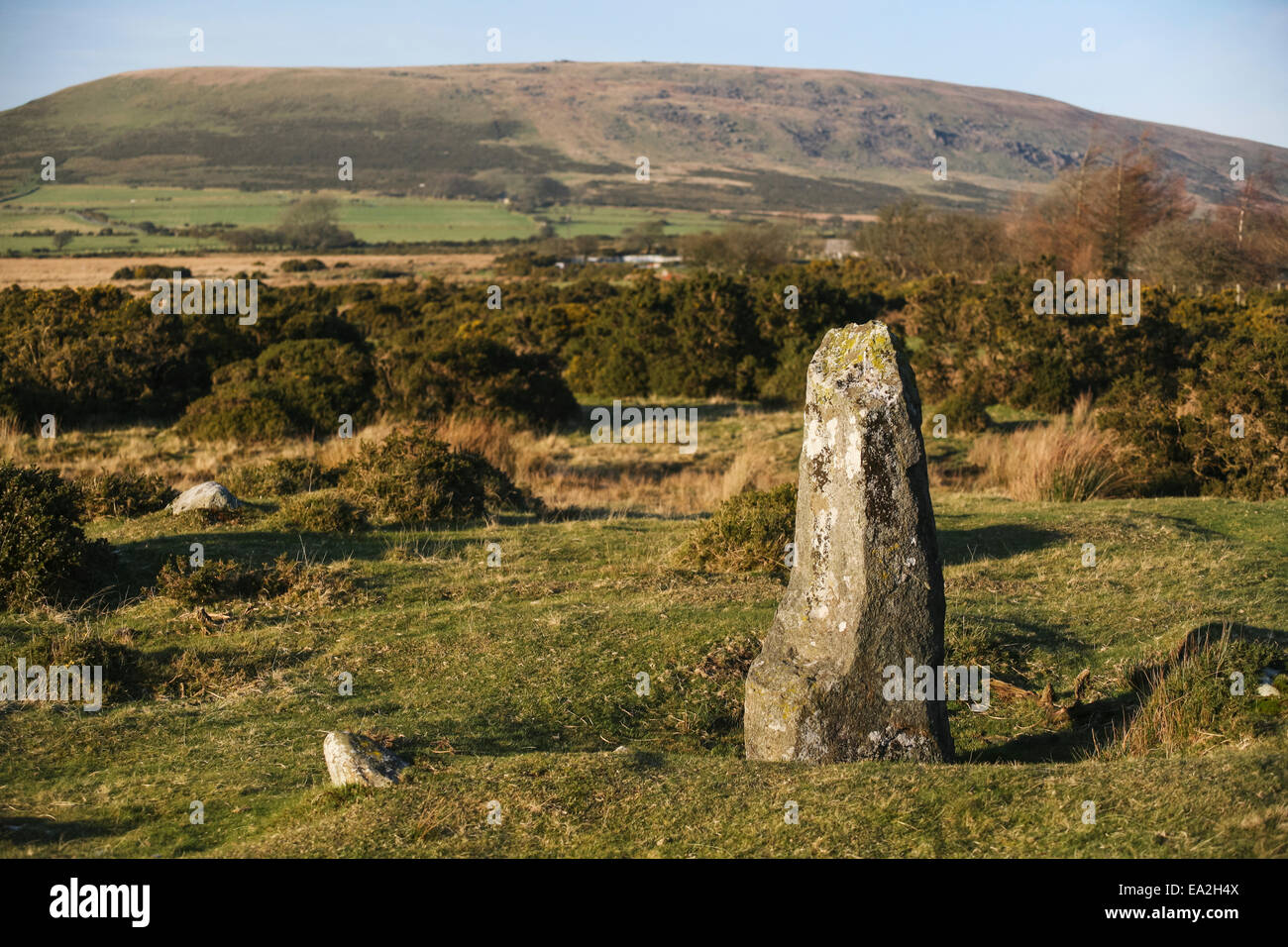 Gors fawr stone circle hi-res stock photography and images - Alamy