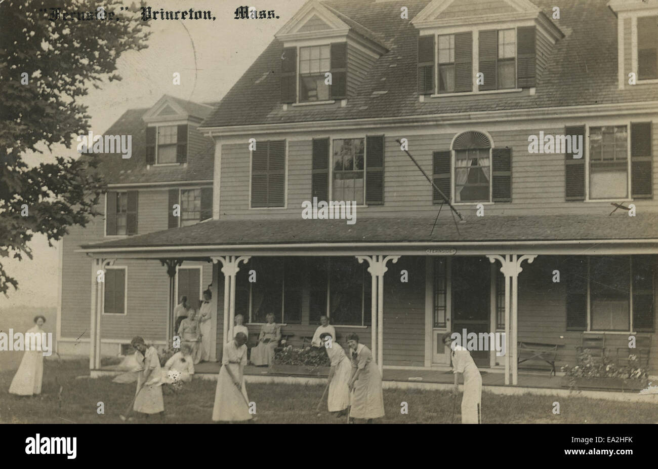 An image titled 'Fernside', which could refer to a location, property ...