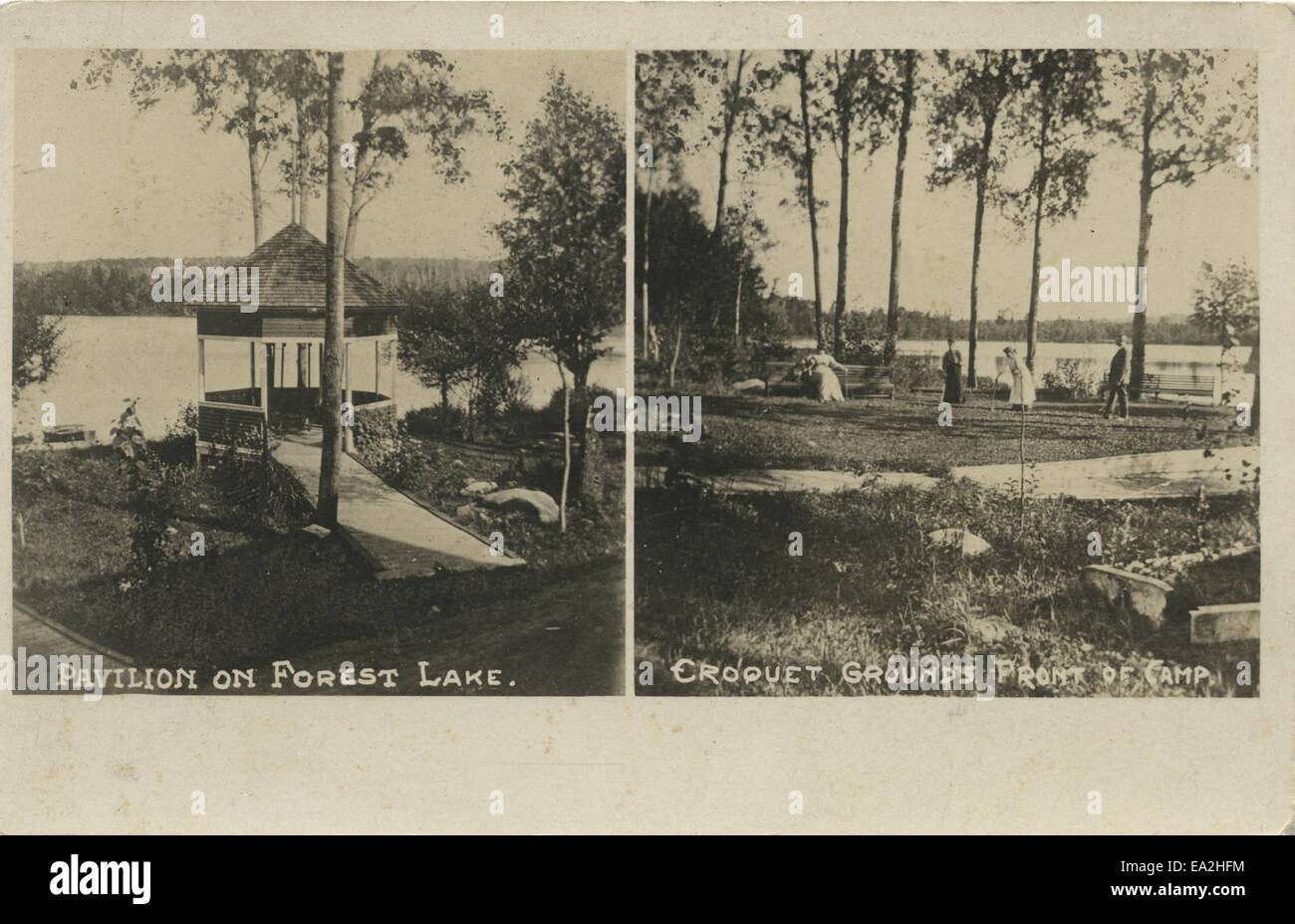 Forest Lake is a scenic body of water surrounded by lush vegetation ...
