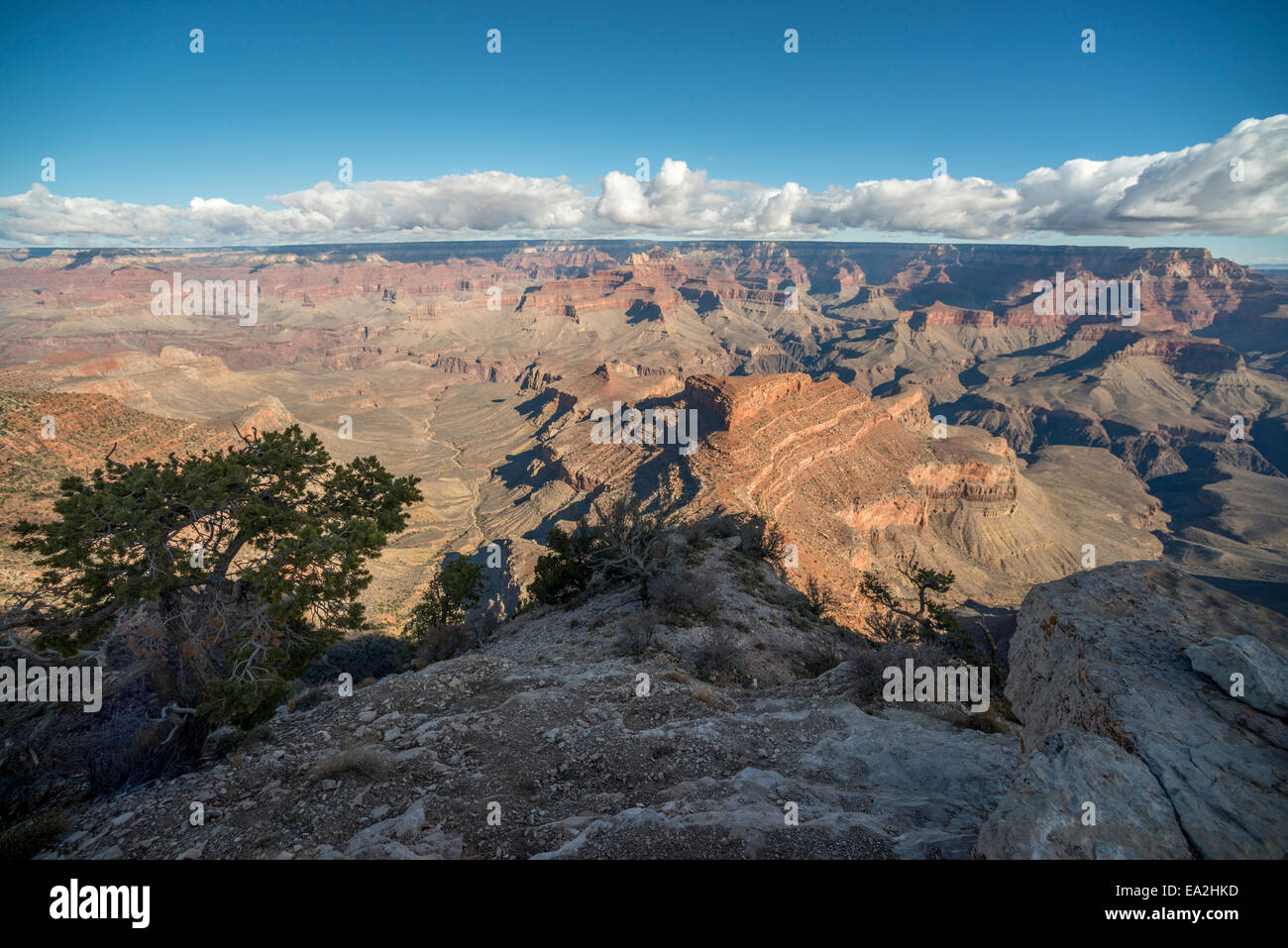 The Grand Canyon, in northern Arizona, as seen from Shoshone Point. The ...