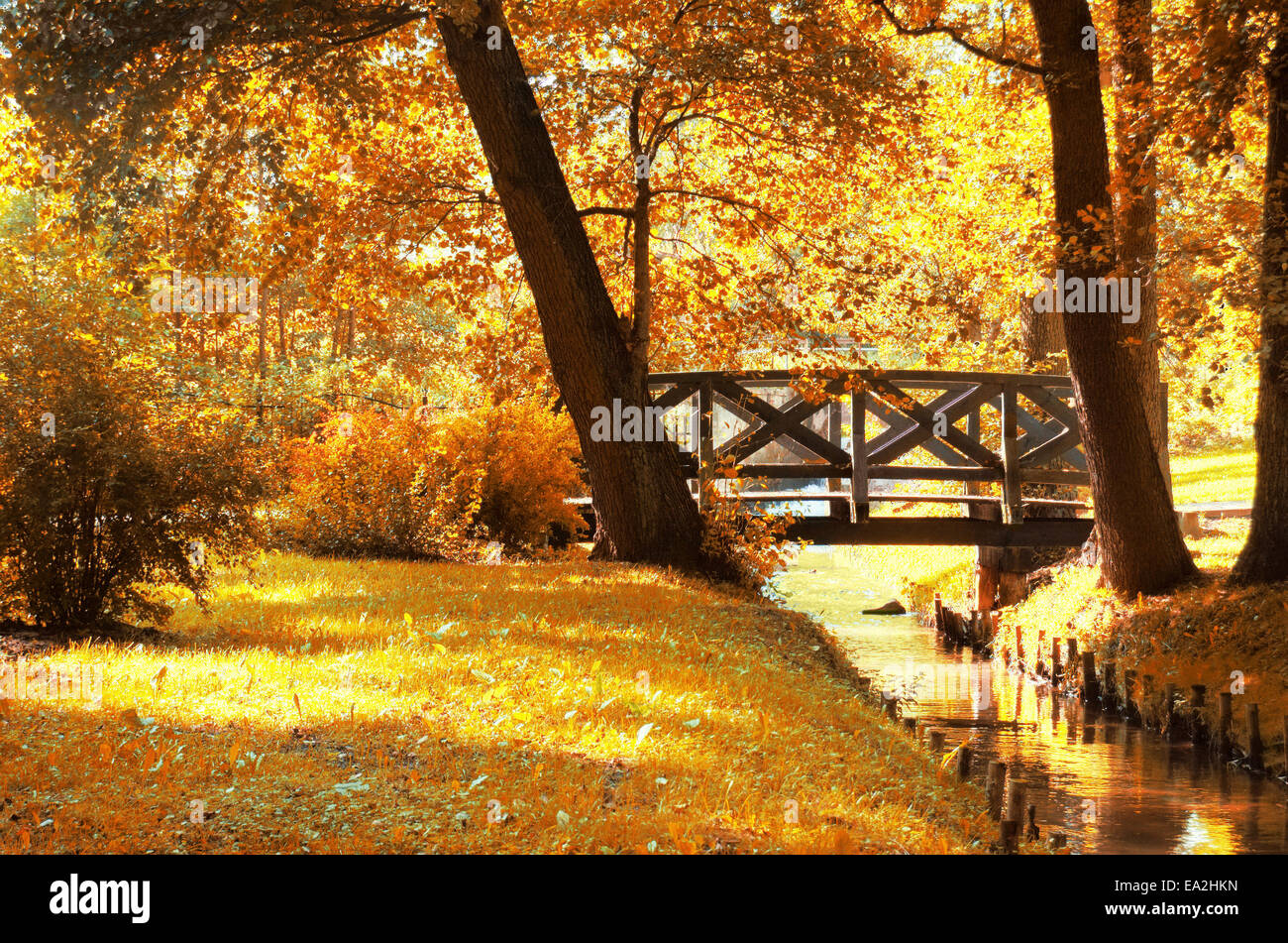 Gold colour in nature hi-res stock photography and images - Alamy