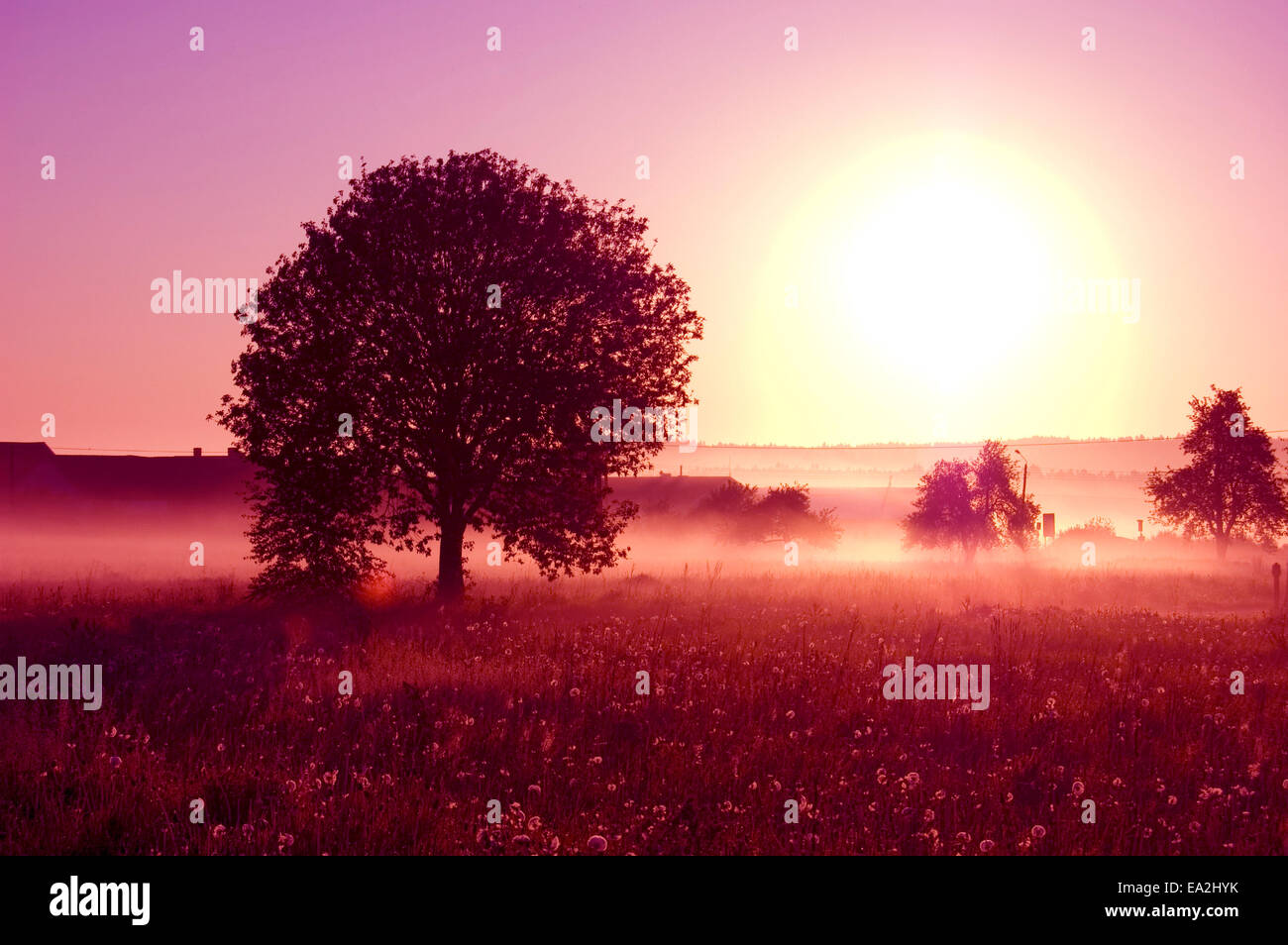 Rising sun picture hi-res stock photography and images - Alamy