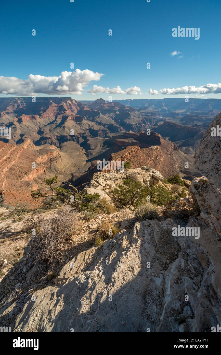 The Grand Canyon, in northern Arizona, as seen from Shoshone Point. The ...
