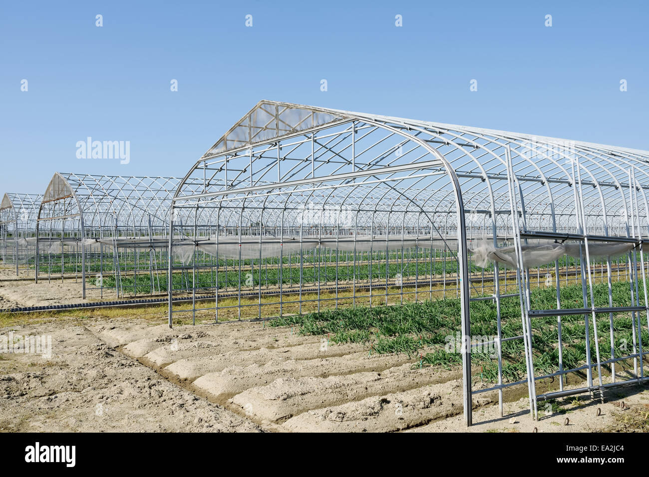 Agricultural building for farming of vegetables Stock Photo - Alamy