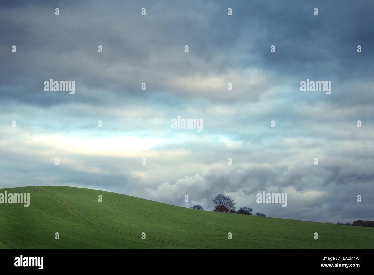 Green storm sky hi-res stock photography and images - Alamy