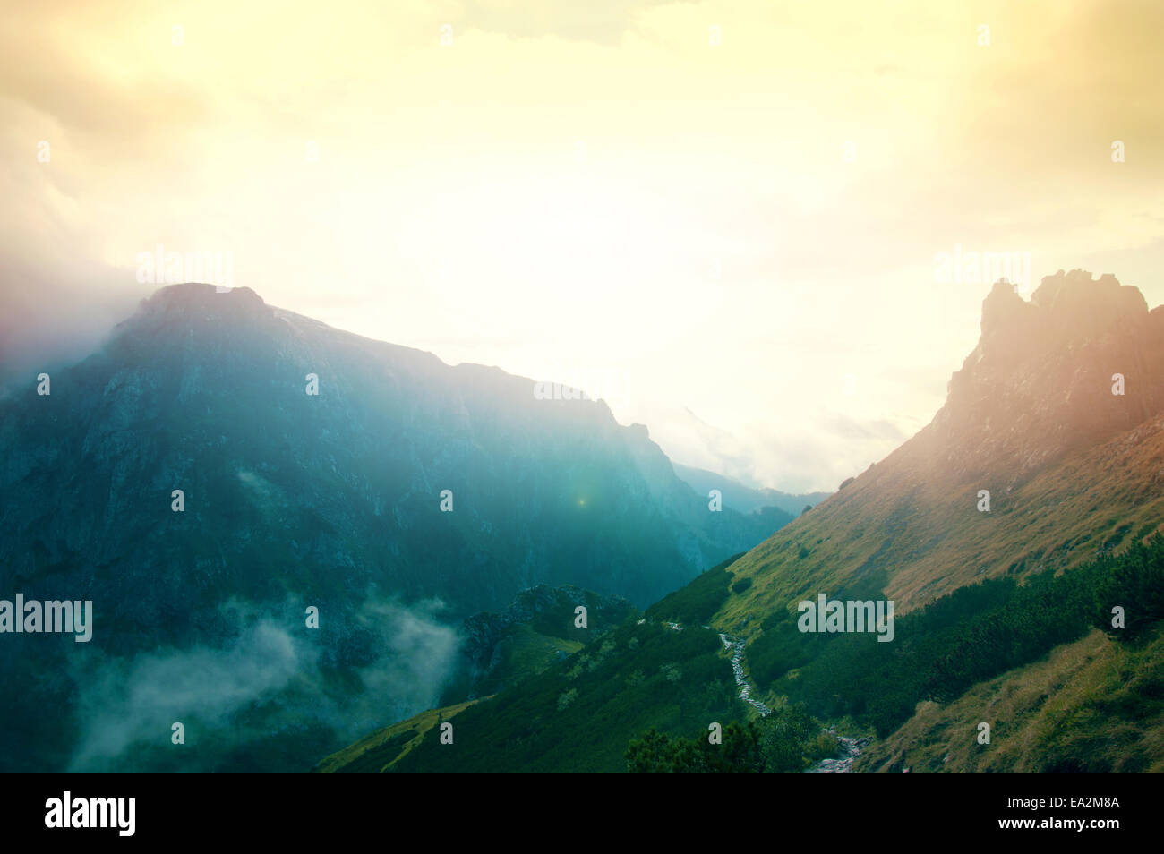 Fog in mountains. Fantasy and colorfull nature landscape. Nature ...