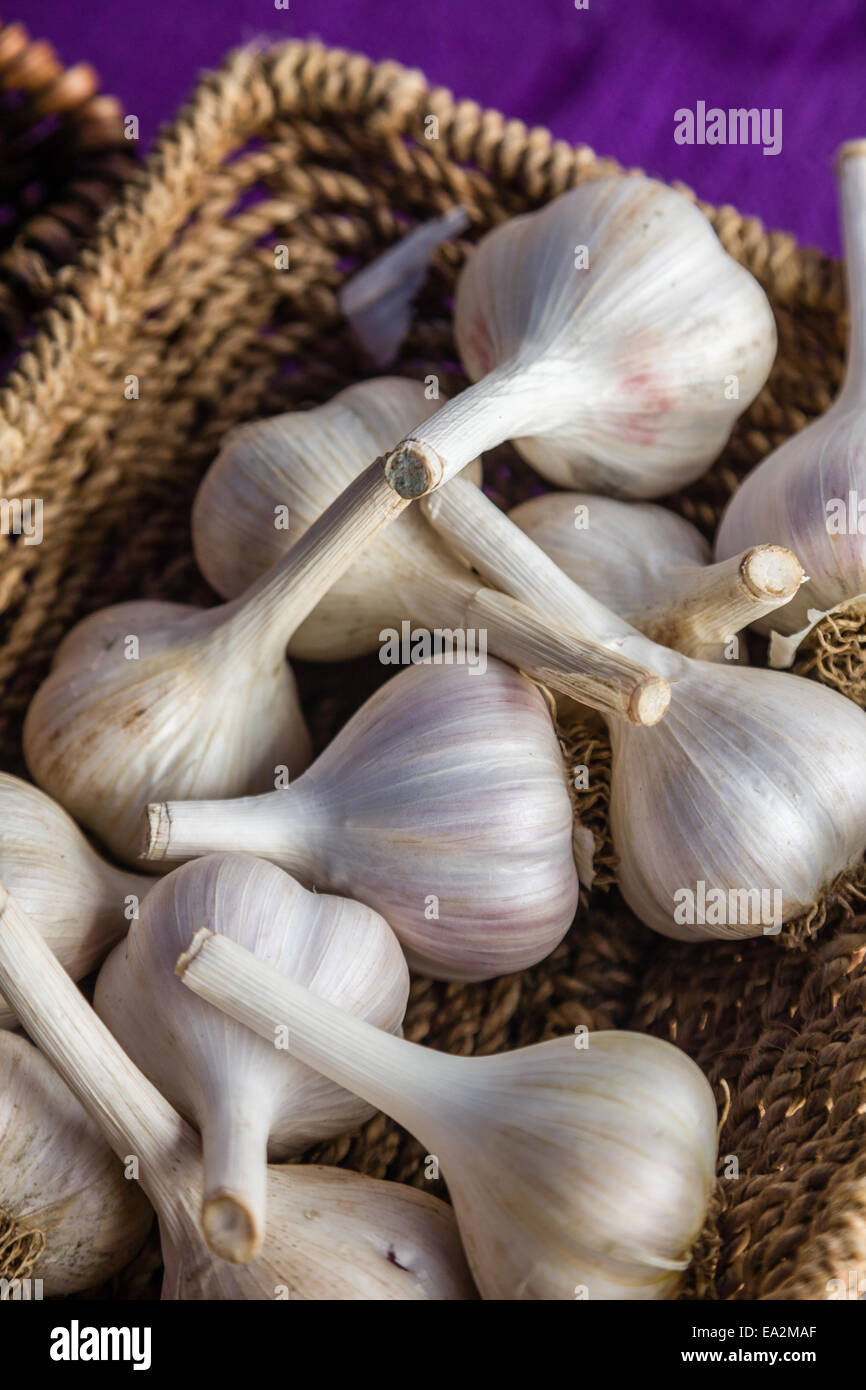 Garlic roots hi-res stock photography and images - Alamy
