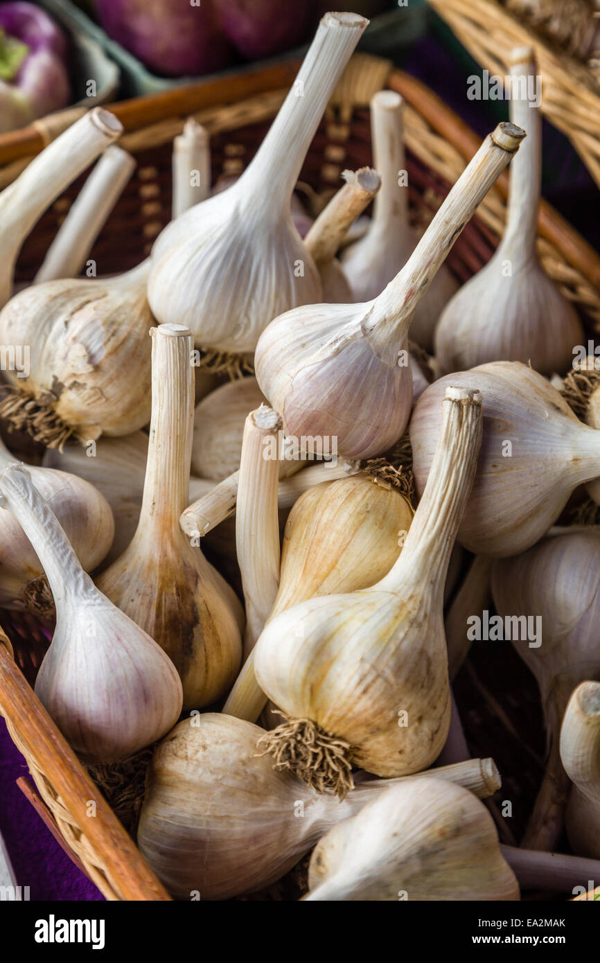 Whole garlic roots in a basket Stock Photo - Alamy
