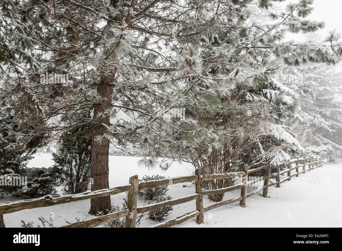 Snow covered rustic fence hi-res stock photography and images - Alamy