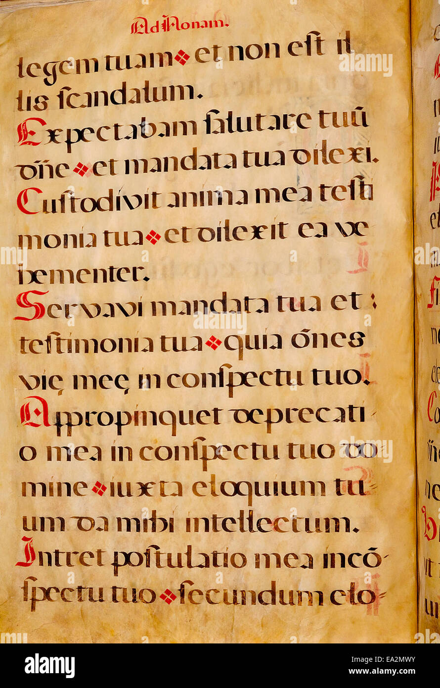This page of the Spanish Chant Manuscript displays Latin chant notation ...