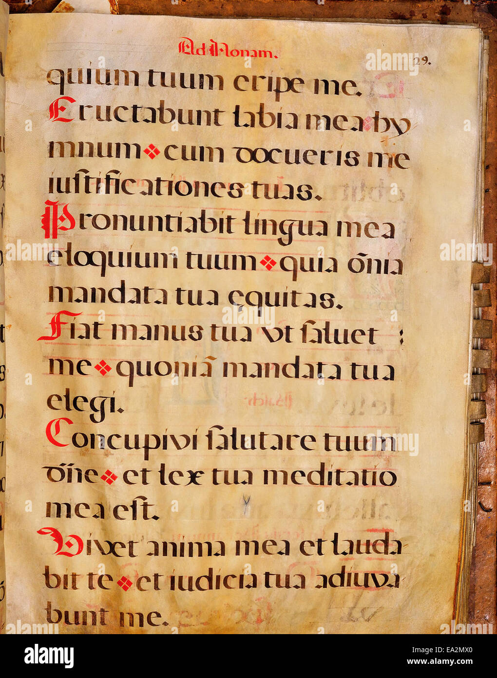 This page from the Spanish Chant Manuscript includes liturgical chants ...