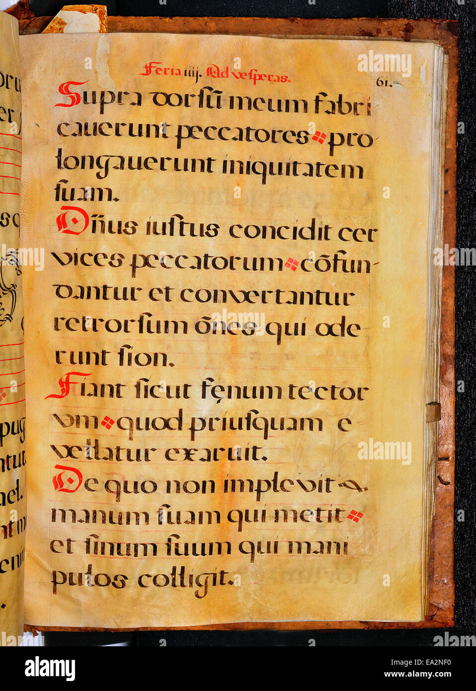 A page from a Spanish Chant Manuscript, showcasing a section of a Latin ...