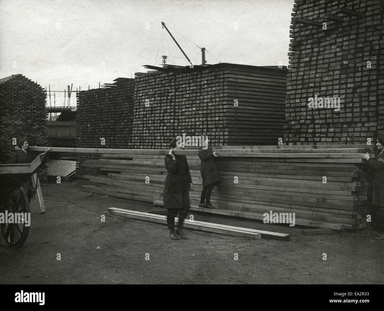 This photograph captures women stacking wood, a traditional task often ...