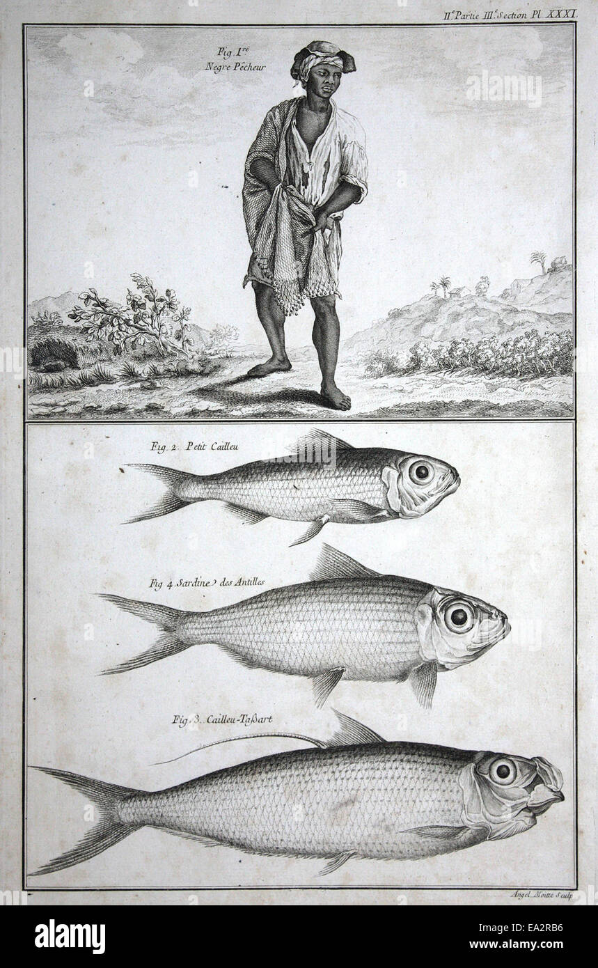 This artwork or photograph features a black fisherman with a variety of ...