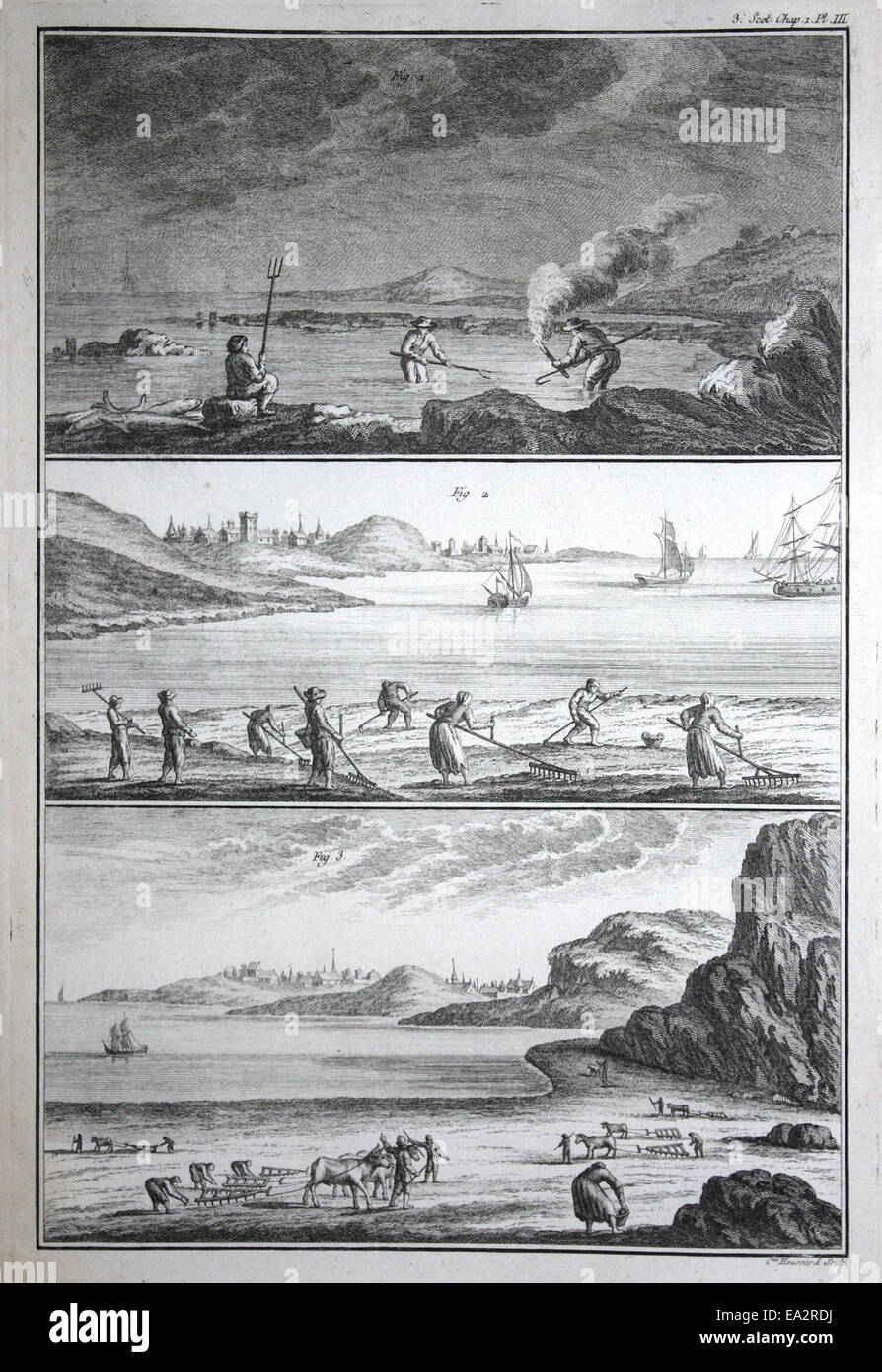 Lit a torch hi-res stock photography and images - Alamy