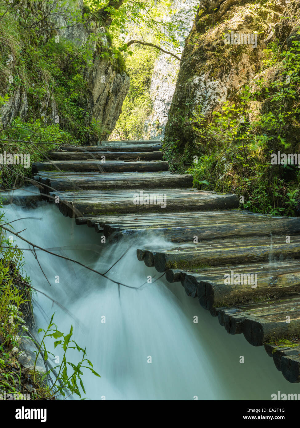 The wooden boardwalk traversing the south side of "Lake Korana ...