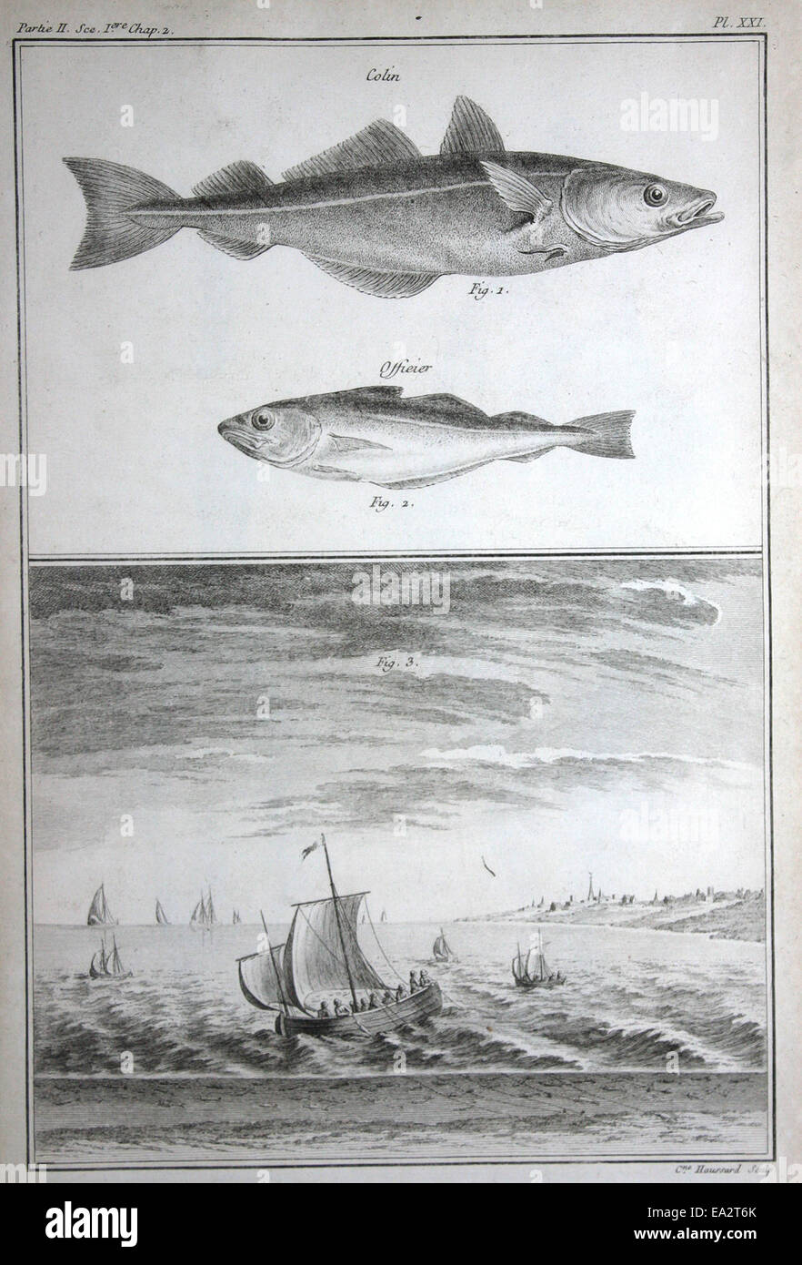 Fish and wildlife officer hi-res stock photography and images - Alamy