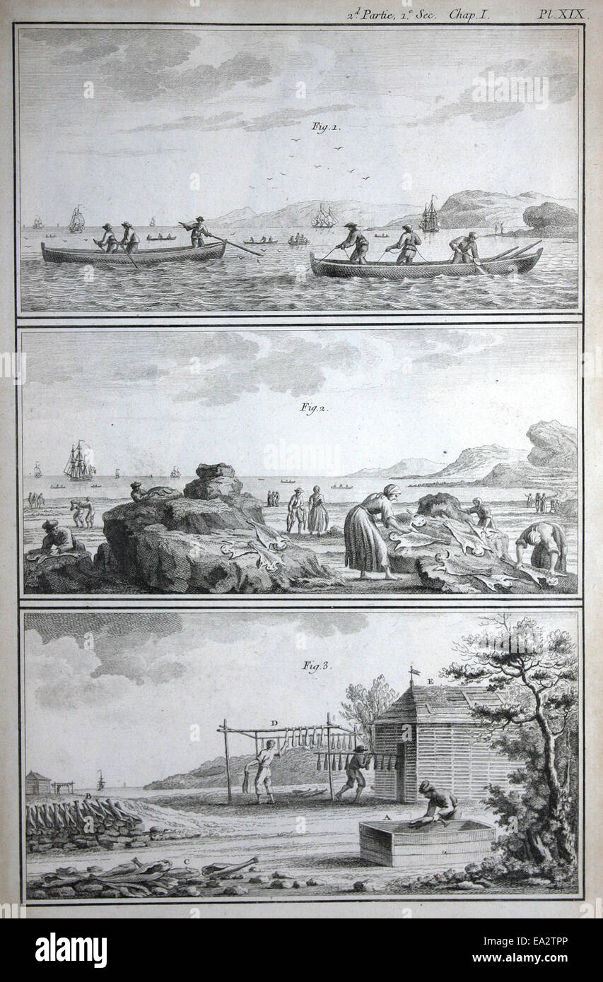 This image depicts the traditional practice of drying cod on rocks, a ...