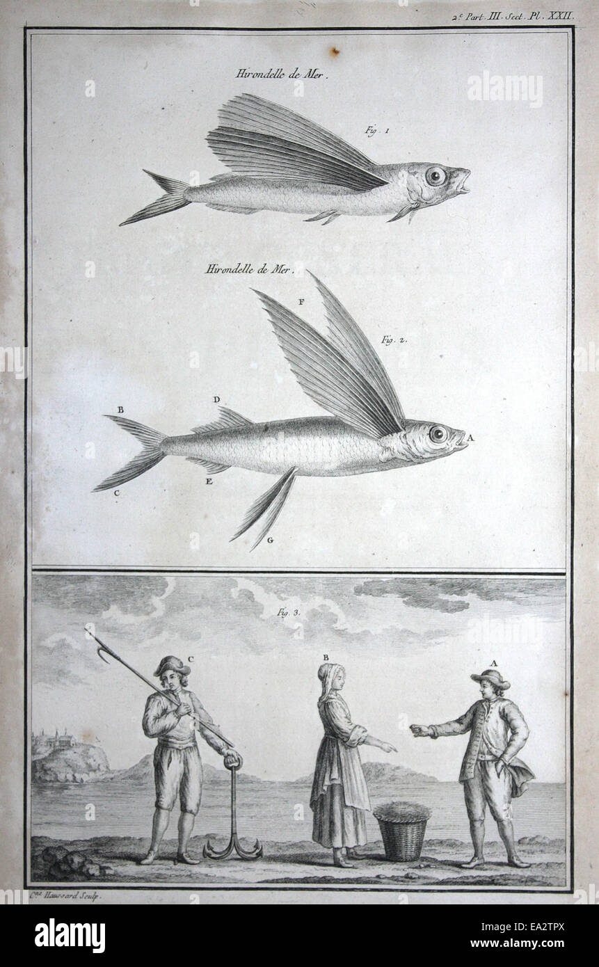 Surface displays warm hi-res stock photography and images - Alamy