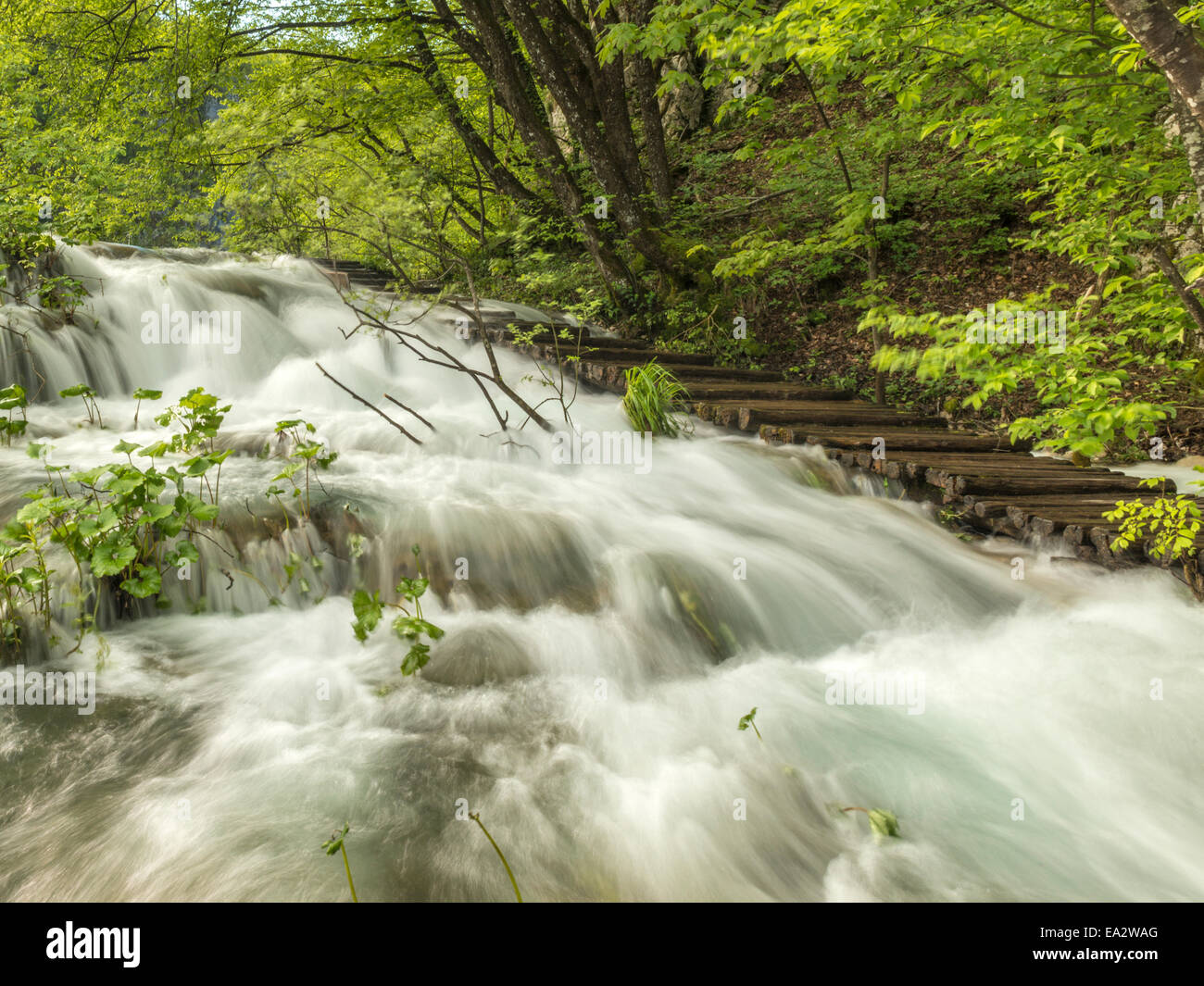 The wooden boardwalk traversing the North side of "Lake Korana ...