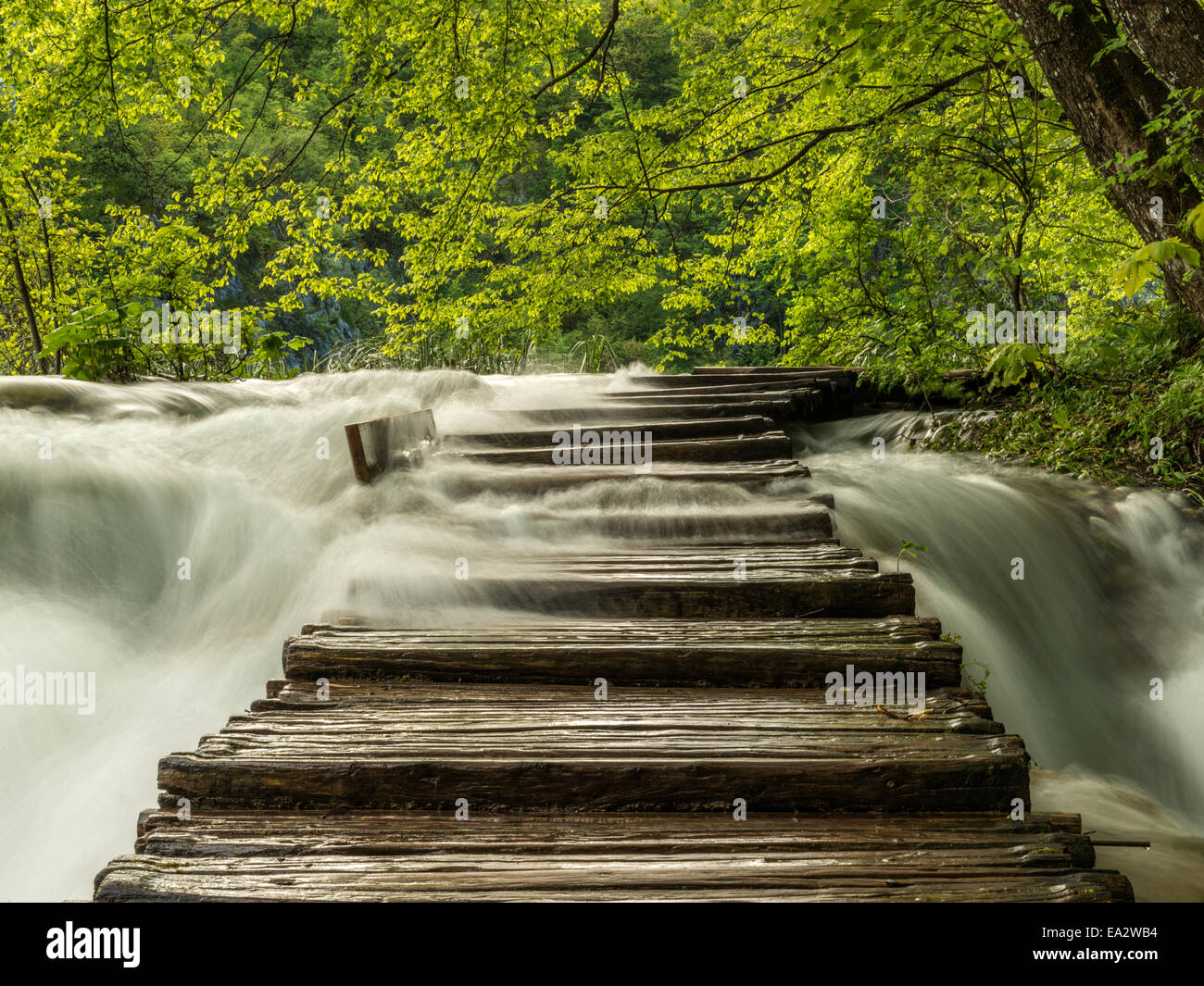The wooden boardwalk traversing the North side of "Lake Korana ...